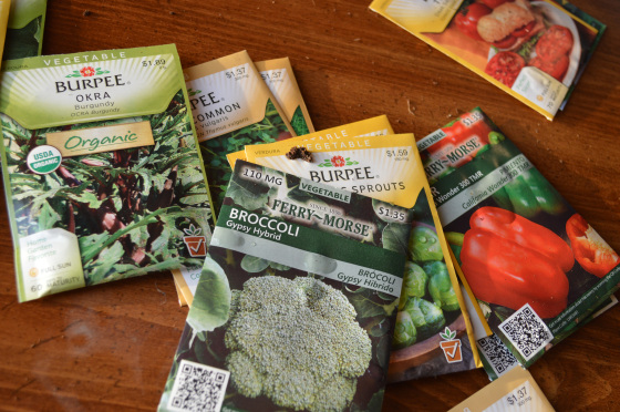 Go Garden: Starting Seeds - Bloom.